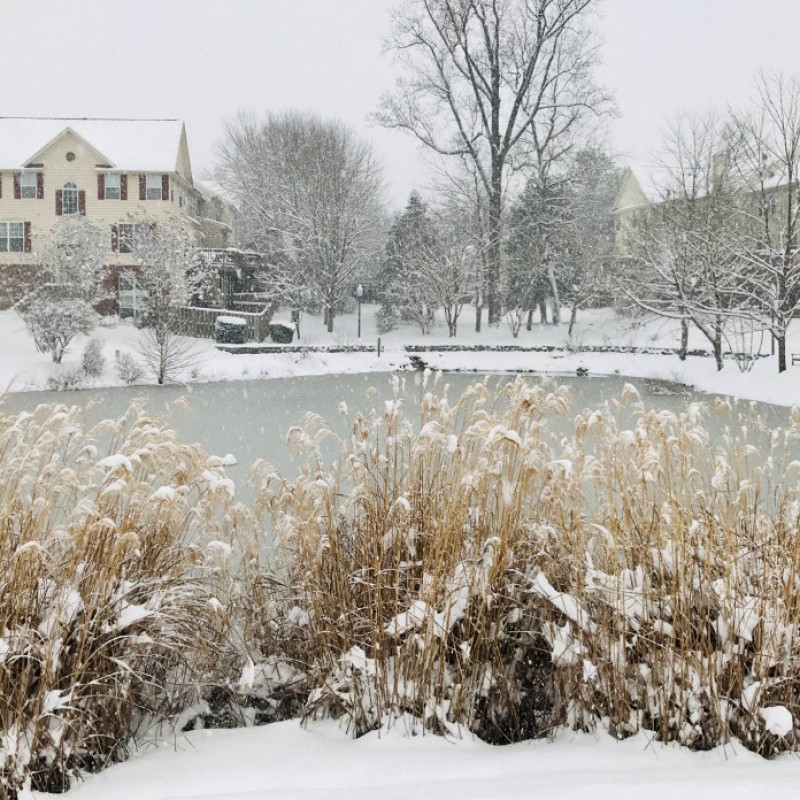 Random Hills Community Association